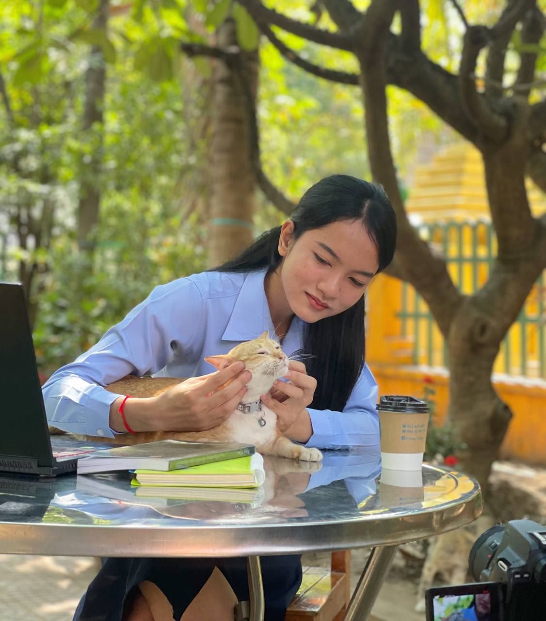 Gallery – IMD Campus